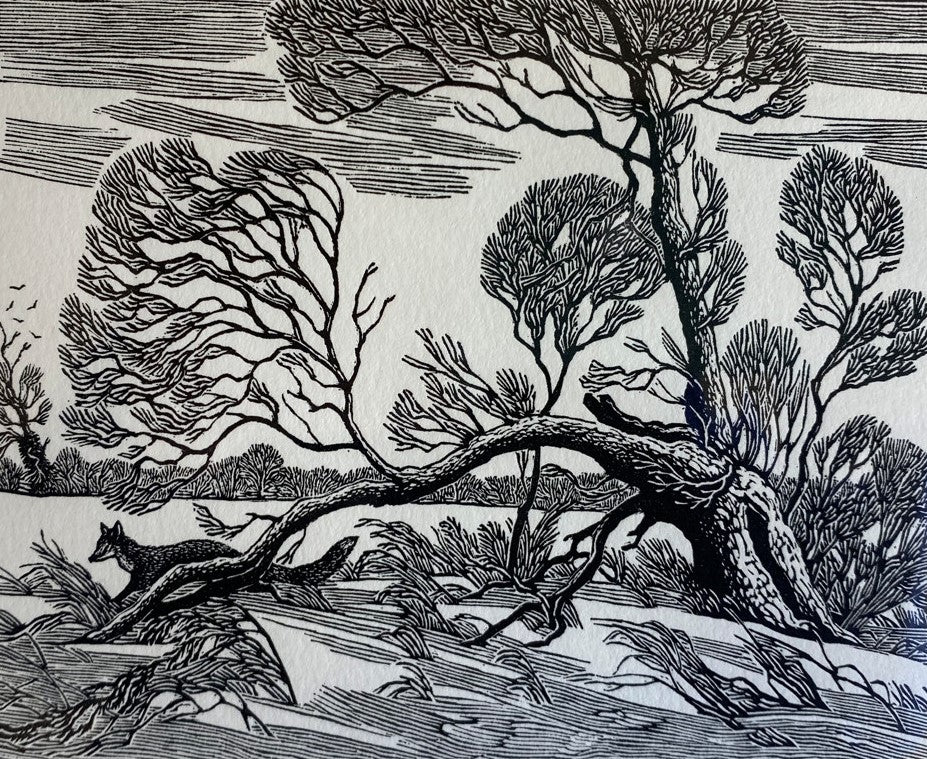 Edward Stamp – Obsidian Art