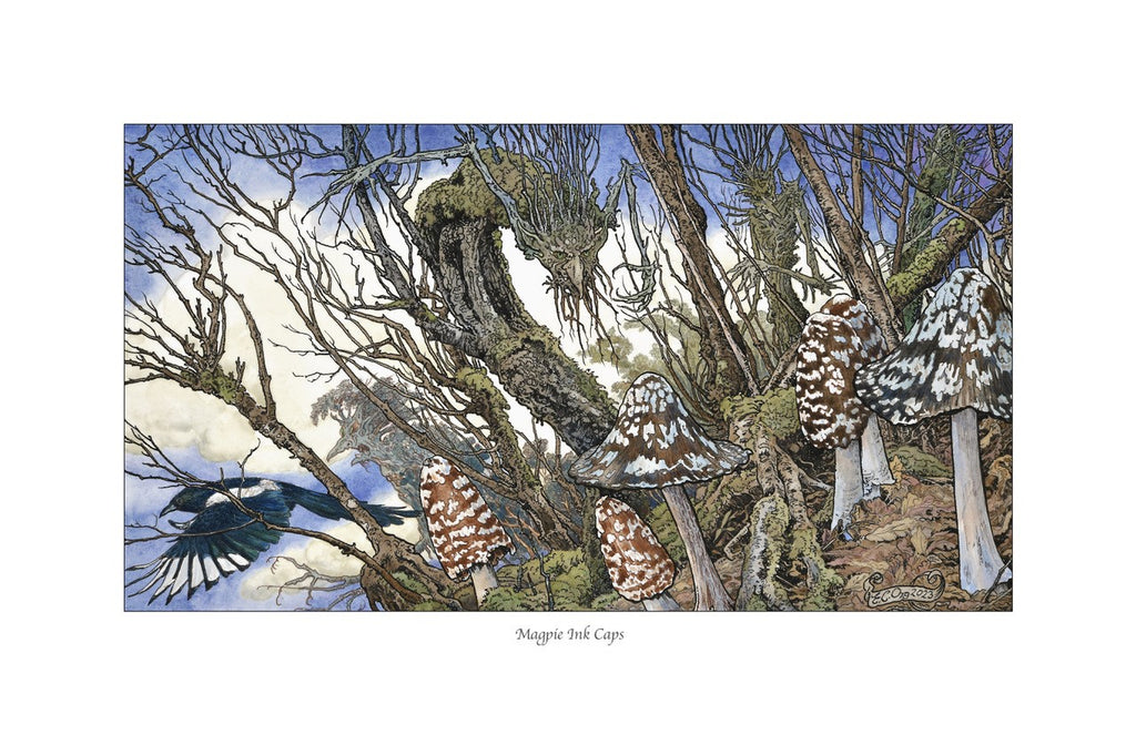 Magpie Ink Caps - Limited Edition Print by Ed Org – Obsidian Art