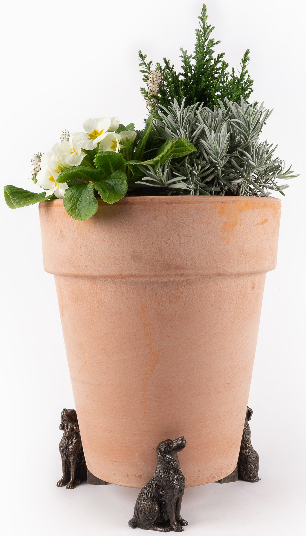 Springer Spaniel Plant Pot Feet – Obsidian Art