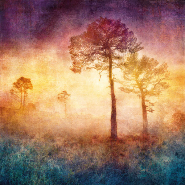 Products – Obsidian Art