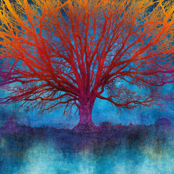 Products – Obsidian Art