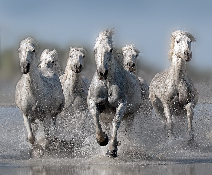 Gillian Morgan – Obsidian Art