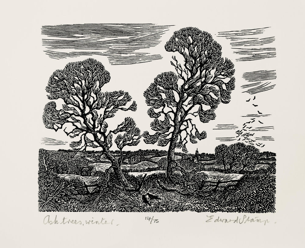 Ash Trees, Winter by Edward Stamp – Obsidian Art